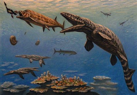 Hesperornis Xiphactinus Tylosaurus By Abelov2014 On Deviantart