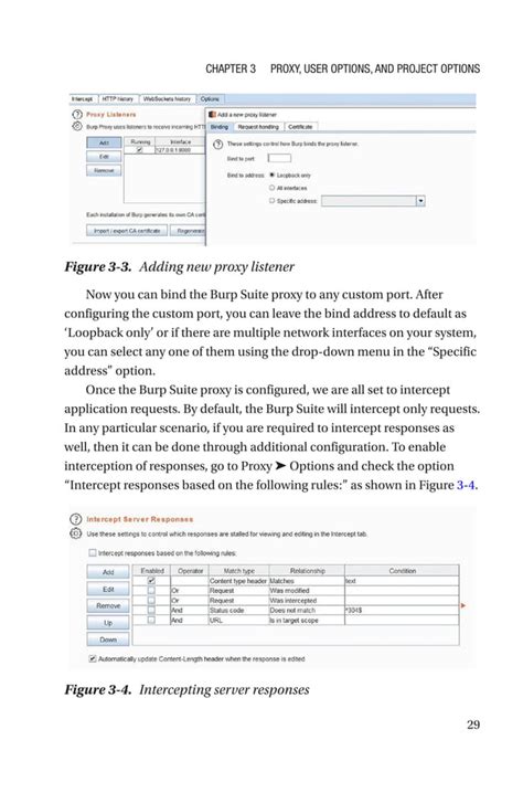 a complete guide to burp suite for beginners pdf