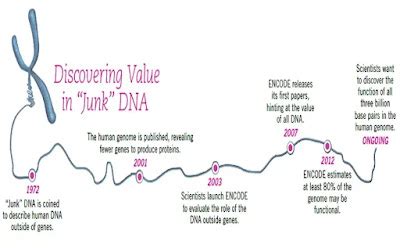 Sandwalk Junk DNA Vs Noncoding DNA