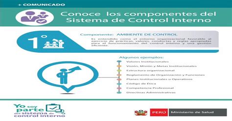 Conoce Los Componentes Del Sistema De Control Interno · Conoce Los