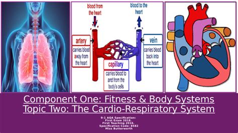Aqa 9 1 Gcse Pe Cardio Respiratory System Spirometer Trace Resources Teaching Resources