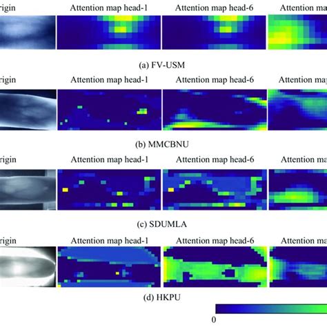 Comparison Of Finger Vein Images Before And After Roi In Four Public