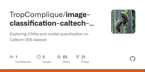 Github Tropcomplique Image Classification Caltech 256 Exploring Cnns