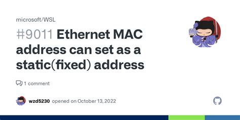 Ethernet MAC Address Can Set As A Static Fixed Address Issue 9011