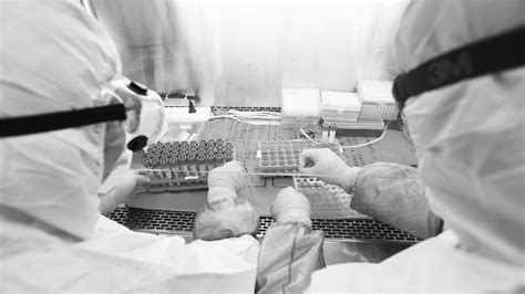 Defected Doctor Chinese Trained To Steal Us Lab Research