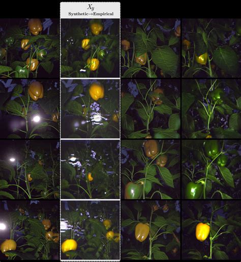 Image To Image Translation Examples Using Cycle Gan Source Domain Download Scientific Diagram