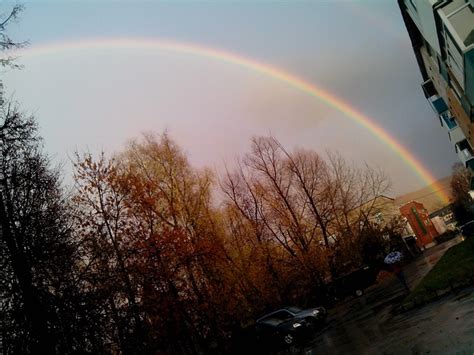 Rainbow In The City Cute Free Photo On Pixabay Pixabay