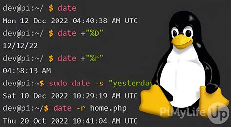 Cómo gestionar el historial de comandos en Linux