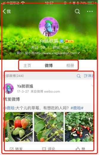 ScrollView 嵌套 ScrollView 小专栏