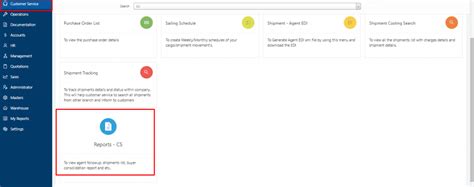How To Generate DSR Report For A Particular Salesperson