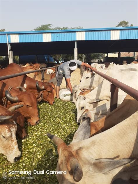 Codewithfox Follow Codewithfox Follow Codewithfox