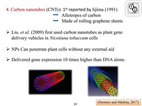 Nanotechnology For Crop Improvement PDF