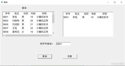 Python编程实现数据库信息查询窗口python写一个数据库查询界面 Csdn博客