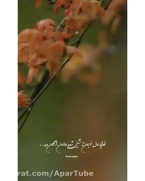 کلیپ بسیار دپ و غمگین آهنگ لری محلی برای استوری