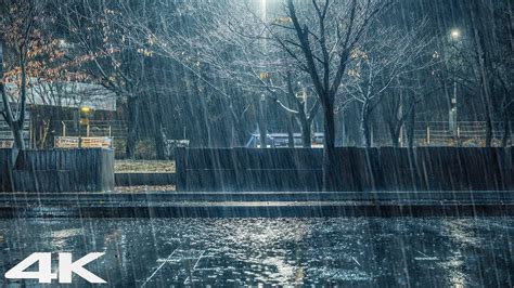 밤에 겨울을 알리는 폭우 내리는 아름다운 공원 불면증 극복과 마음의 안정 빗소리 Asmr Youtube