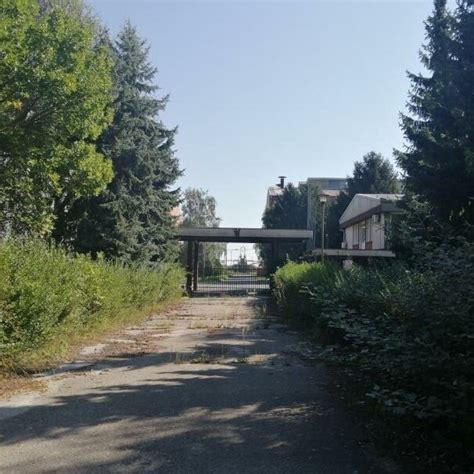 Individuals Within Buffer Zone Source Authors 2020 Download