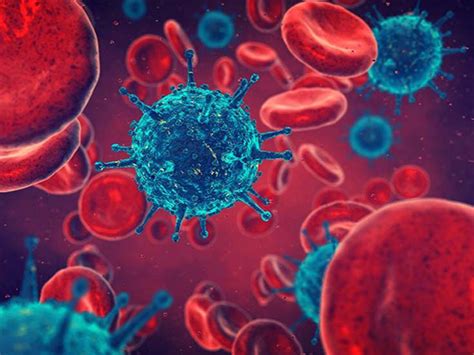 What Is Trans Arterial Chemoembolization How Can It Help Cancer Patients Iya Medical