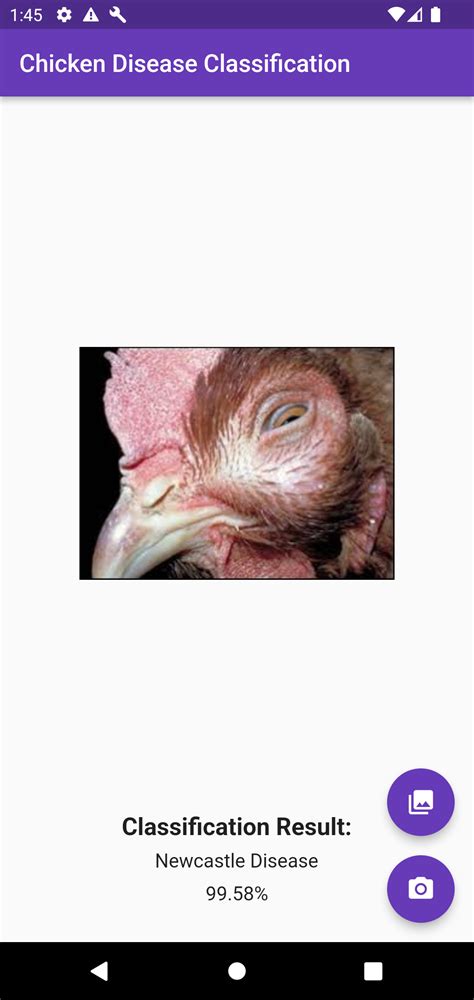 github darwincamahalan chicken diesease image classification a flutter mobile application