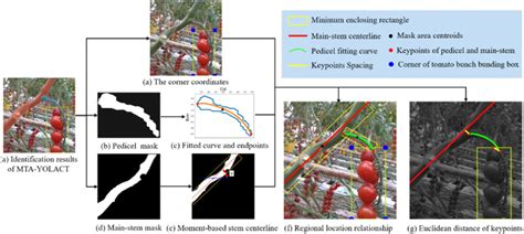 The Process Of Data Preprocessing And Feature Selection Download