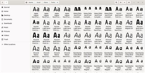 Install Nerd Fonts To Add Glyphs In Your Code On Linux Ostechnix