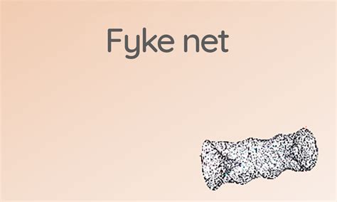 Fyke Net