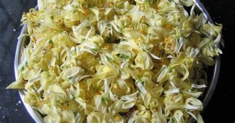 Moringa Facts On Tumblr