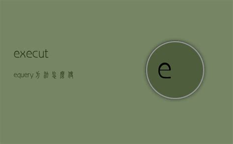 Executequery方法怎么使用 技术分享 云服务器