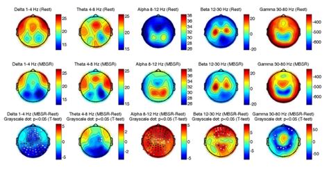 Using Wavelet Entropy To Demonstrate How Mindfulness Practice Increases Coordination Between