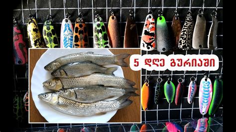 მე და გელა ქაშაპზე 5 დღე გურიაში Youtube