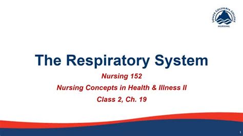 Unit 1 Class 2 Chapter 19 Introduction To The Respiratory System