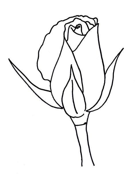 How To Draw A Rose Bud Samantha Bell Art Blocks