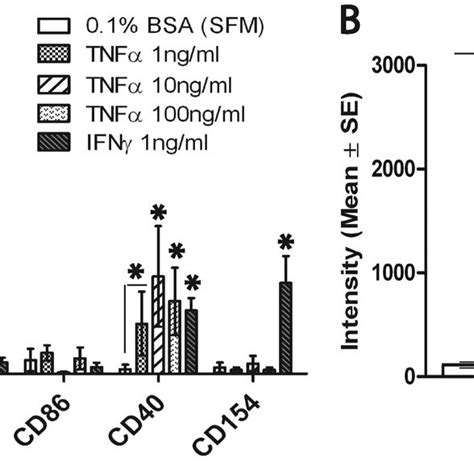Fibroblast Expression Of Surface Markers Of Activation And Download Scientific Diagram