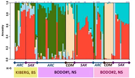 Results Of The Admixture Analysis Based On 2brad Data At K5 Arc L