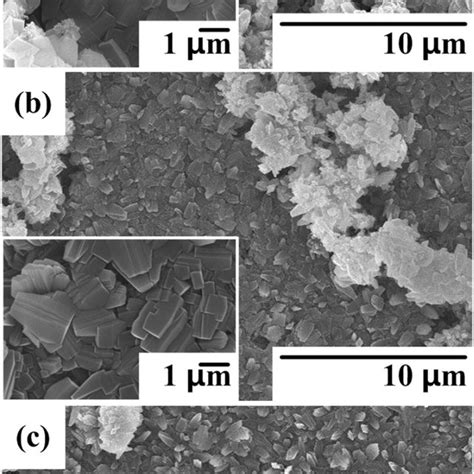 Fe Sem Micrographs A C Of Porous Surface Structured Al 88 Cu 6 Si 6 Download Scientific