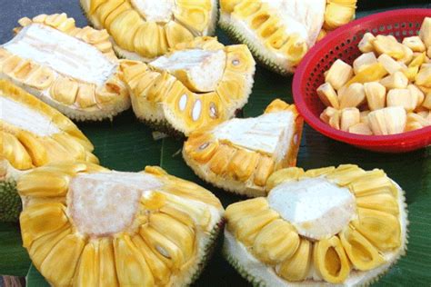 Джекфрут: фото и описание, вкус, как едят, польза