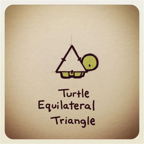 Turtle Equilateral Triangle