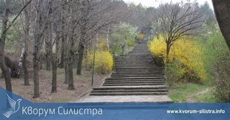 Призовават силистренци да превземат крепостта Кворум Силистра