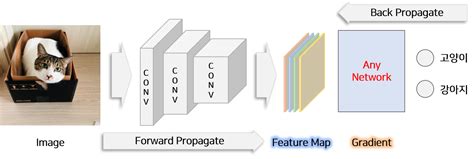 논문분석 Grad Cam Visual Explanations From Deep Networks Via Gradient