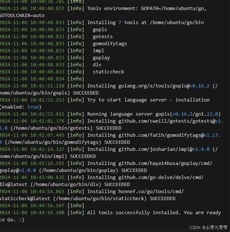 【golang】解决golang代码不报错问题 failed to find a go command go1 21 0 or newer