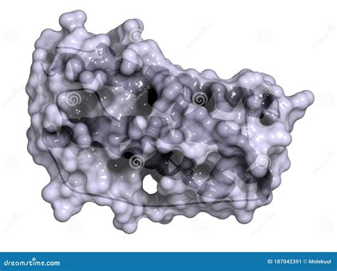Granulocyte Colony Stimulating Factor Gcsf Filgrastim Molecule Used To Treat Neutropenia