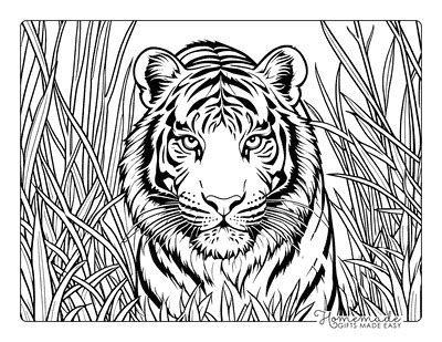 Coloring Pages Tigers Realistic Coloring Page Jungle Africa Tiger