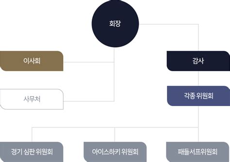 대한스포츠리그협회