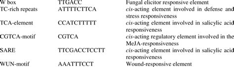 Cis Regulatory Elements In The Biotic Stress Inducible Promoters In