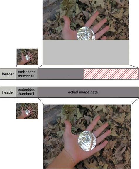 Recovered Photos Are Corrupt Wont Open DiskTuna Photo Repair Photo Recovery