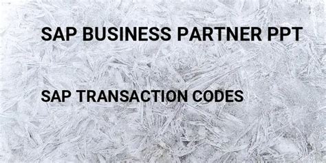 Sap Business Partner Ppt Tcode In SAP Transaction Codes List