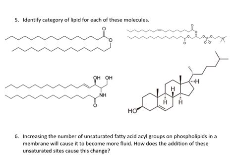 Can You Pleae Answer And Show Me How To Do It