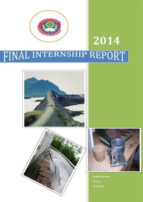 pdf internship final report
