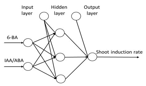 Artificial Neural Network Modelling Download Scientific Diagram