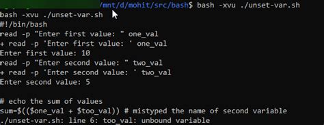 Debug Bash Shell Scripts In Linux