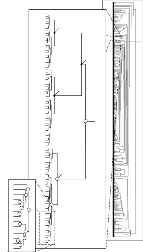 Dendrogram Of Sample Similarities Download Scientific Diagram